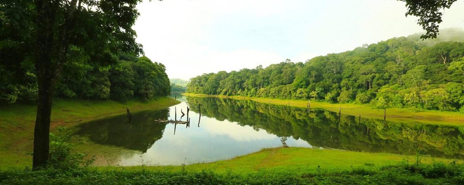 Thekkady is a nature lover’s paradise, renowned for its lush forests ...