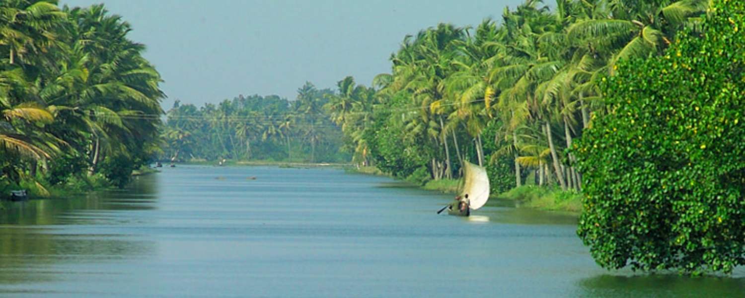 Kuttanad is known as the “Rice Bowl of Kerala,” characterized by its ...