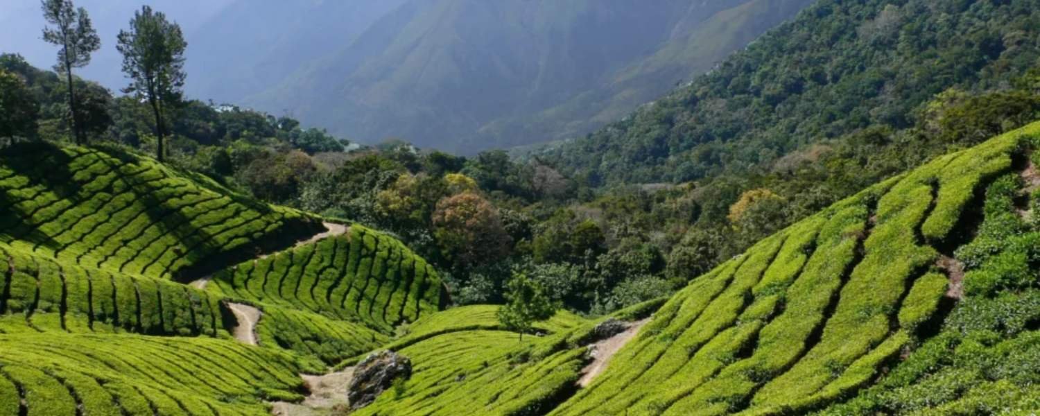 Lockhart Gap View Point is a scenic spot located near Munnar, offering ...