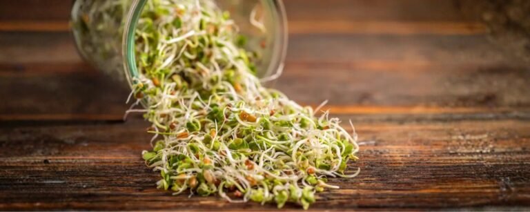 Sprouts are generally low in calories, making them a great choice for ...