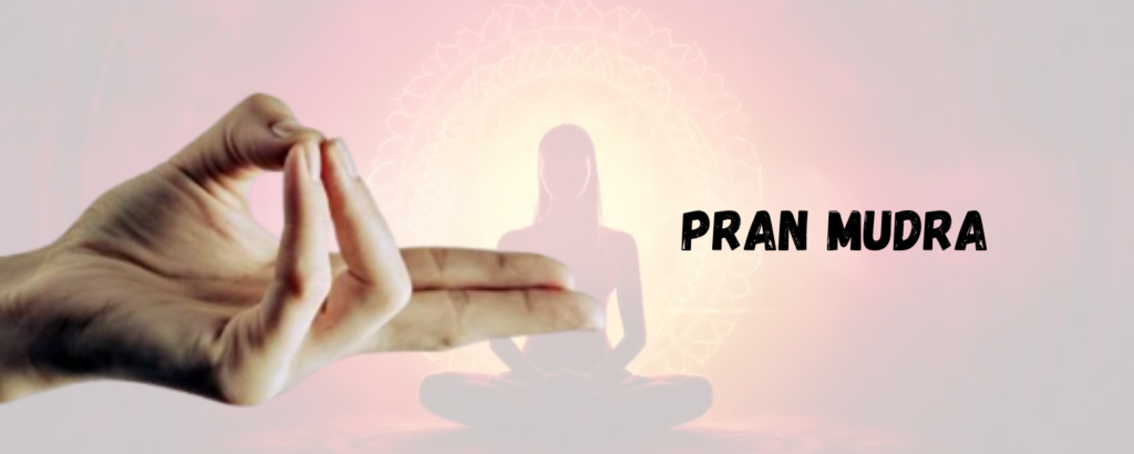 4) Pran Mudra